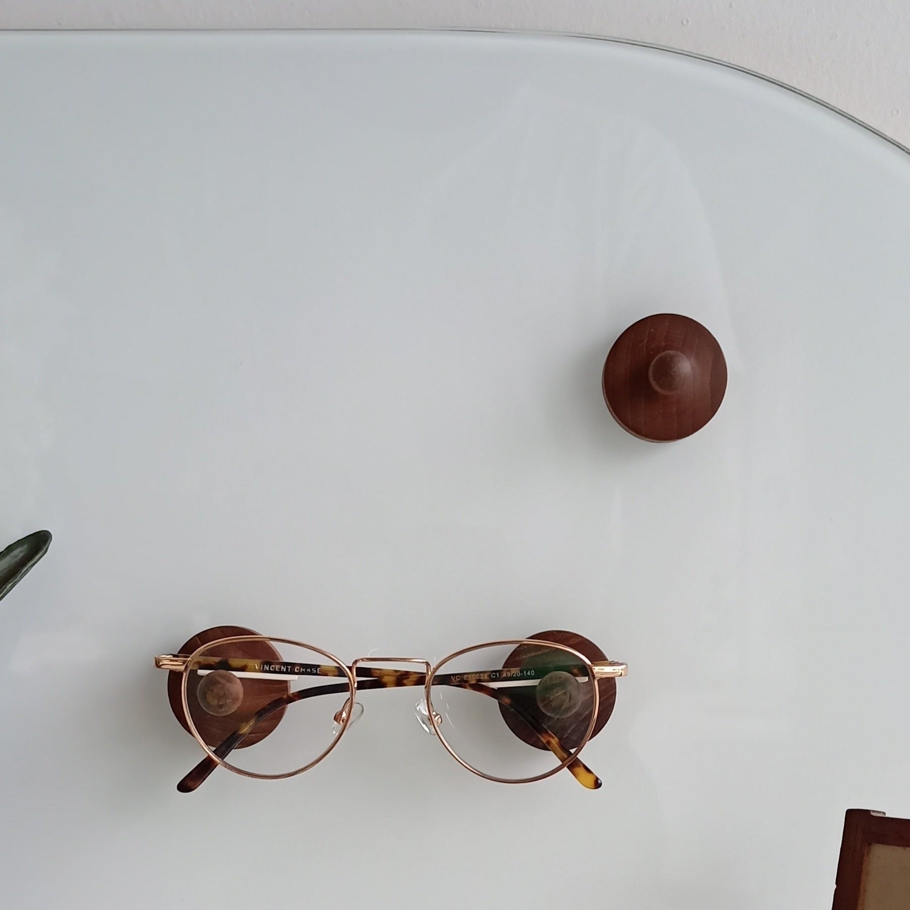 Capsule Magnet & Paperweight Set of 3